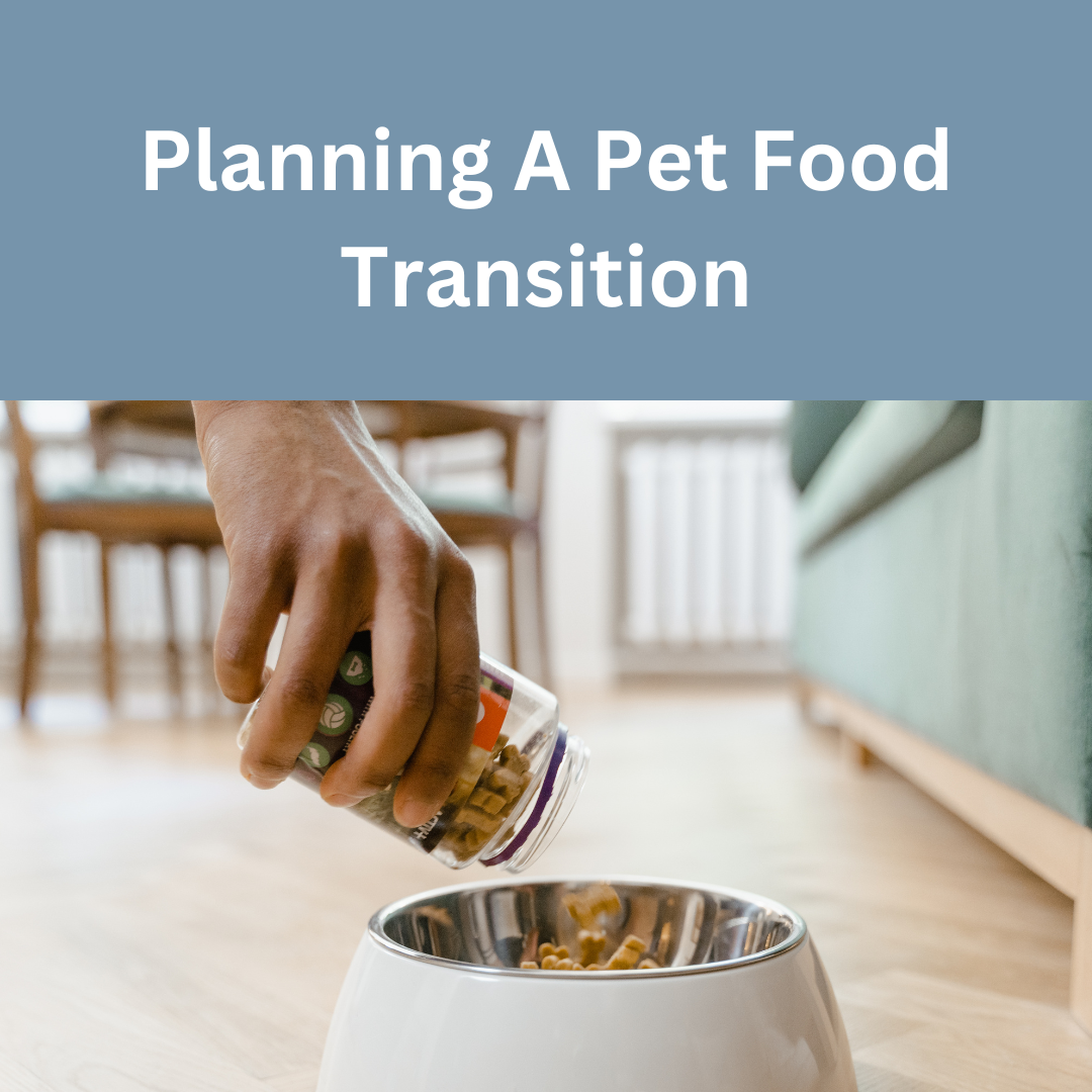 Planning A Pet Food Transition - The Consult Room